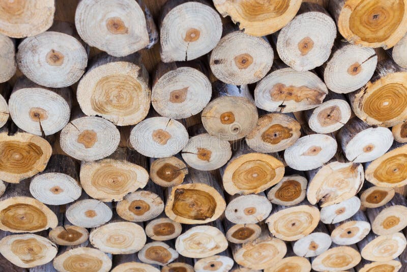 Small Piece of Wood Logs Used for Design Decorated Interior Stock Photo ...