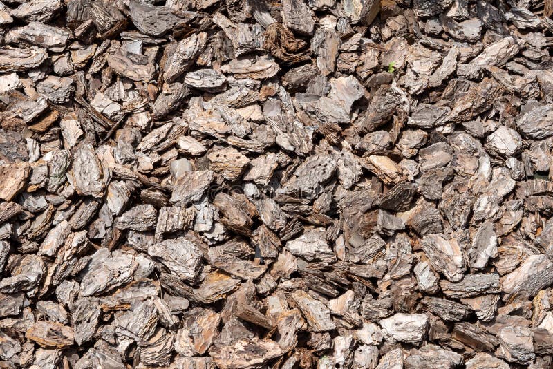 Small Pieces of Bark. Decor of Tree Bark Stock Photo - Image of ...