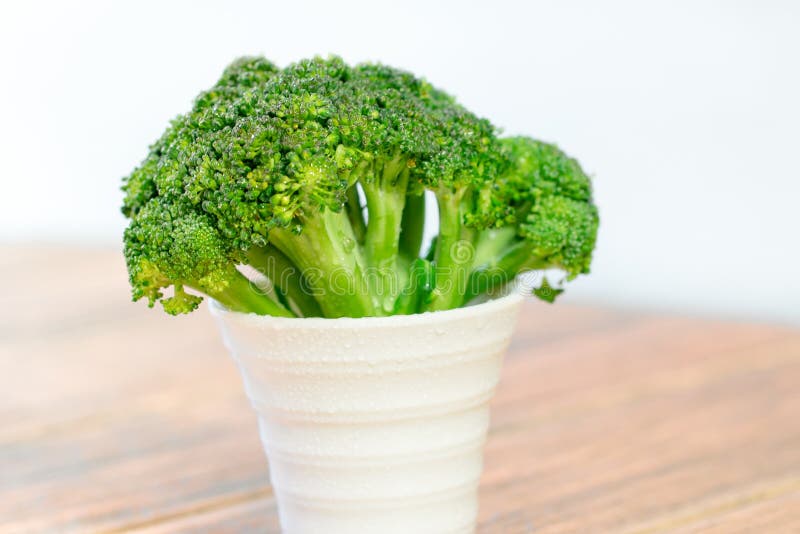 A Small Pieces of Broccoli in a White Pot Stock Image - Image of food ...