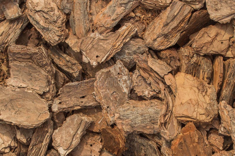 Small Pieces Brown Tree Bark Natural Background Texture Decorative ...