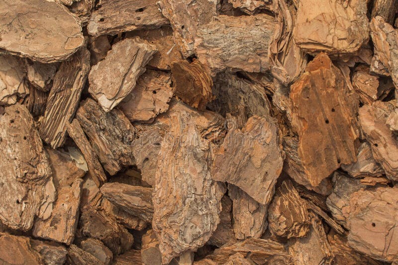 Small Pieces of Brown Tree Bark Natural Background Texture Decorative ...
