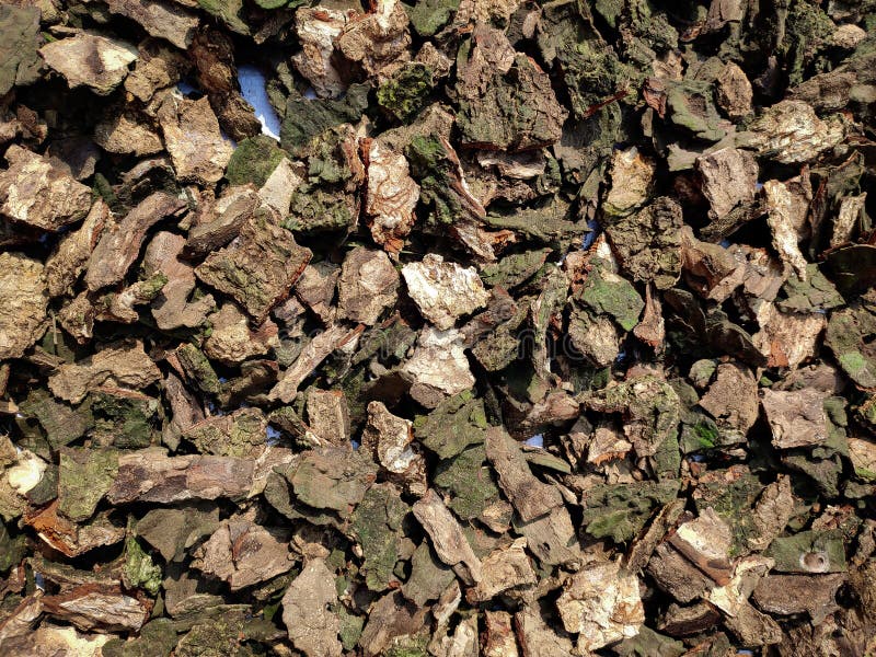 Small Pieces of Trees Bark. Stock Image - Image of texture, small ...