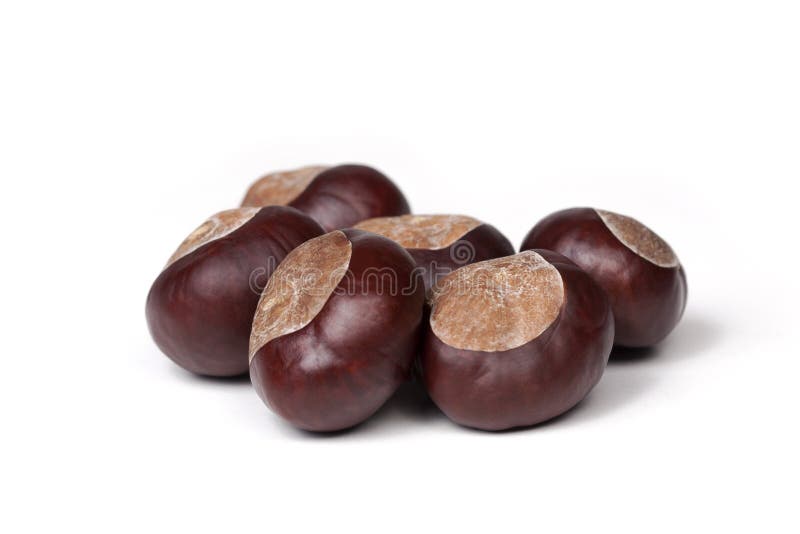 Small Pile of Fresh Chestnuts, Conkers Isolated on White Background ...