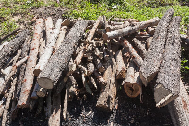 A Small Pile of Logs in Countryside , Firewood Stack Stock Image ...