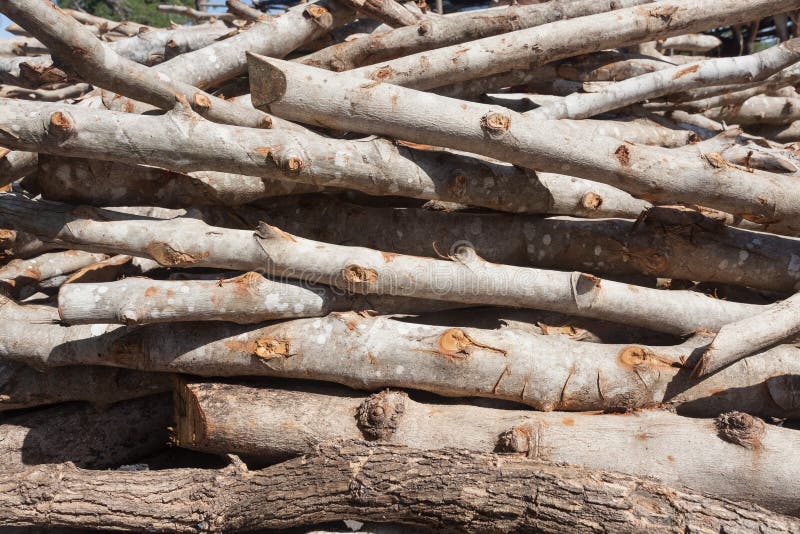 A Small Pile of Logs in Countryside , Firewood Stack Stock Photo ...