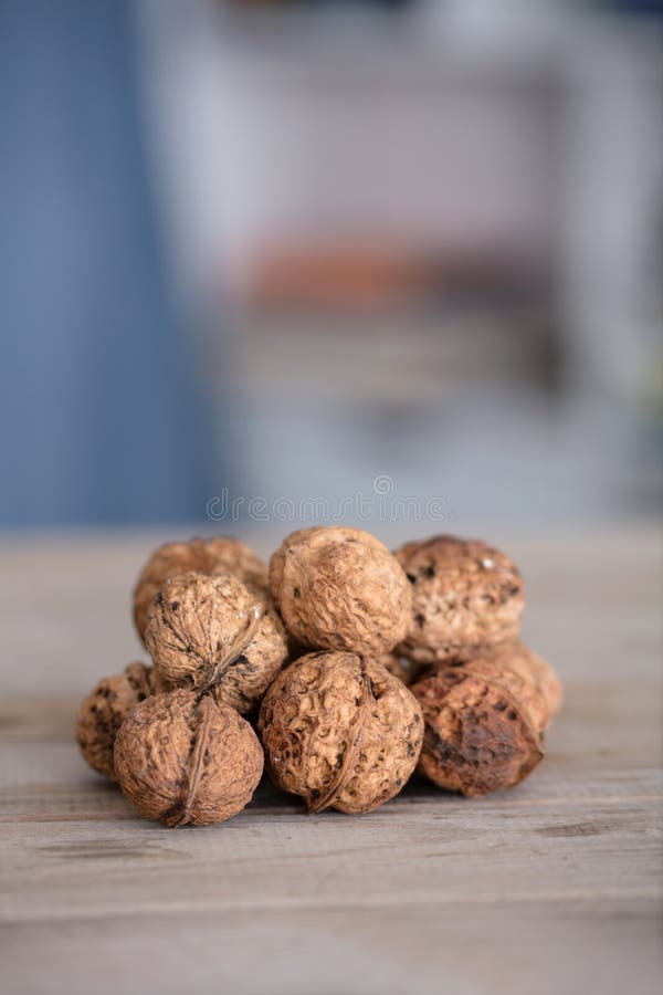 A small pile of walnuts stock image. Image of still - 253714925
