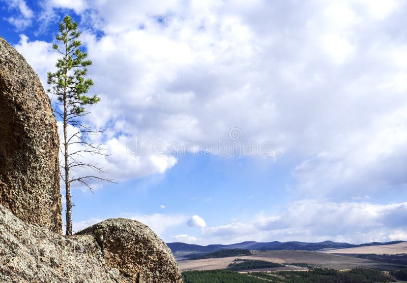 At the Pine Rock Forest stock photo. Image of nature - 166641574