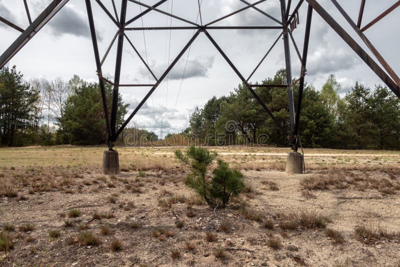 A Small Pine Tree on Sandy Ground Under a High Voltage Pole Stock Image ...