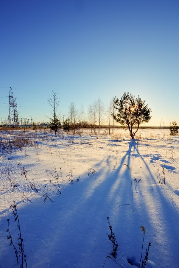 Winter field before sunset stock photo. Image of sunrise - 112773362