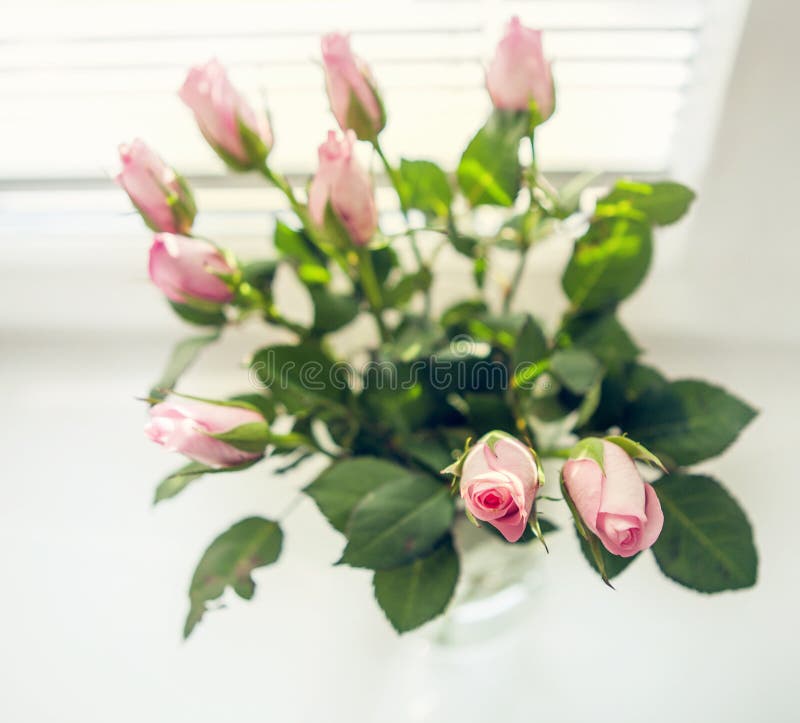Small Pink Roses Bouquet on the Windowsill in Bright Light Stock Image ...
