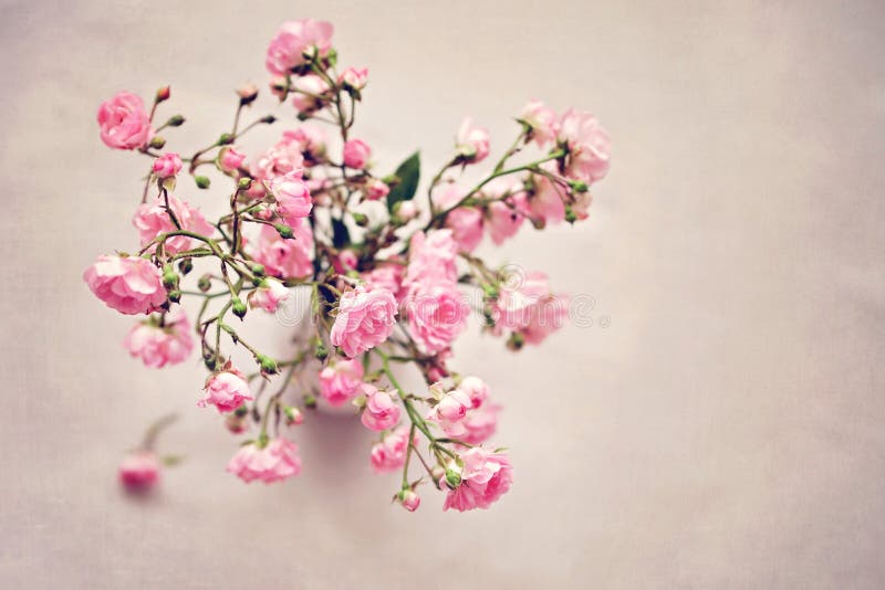 Small Pink Roses in a Vase, Texture Background Stock Photo - Image of ...