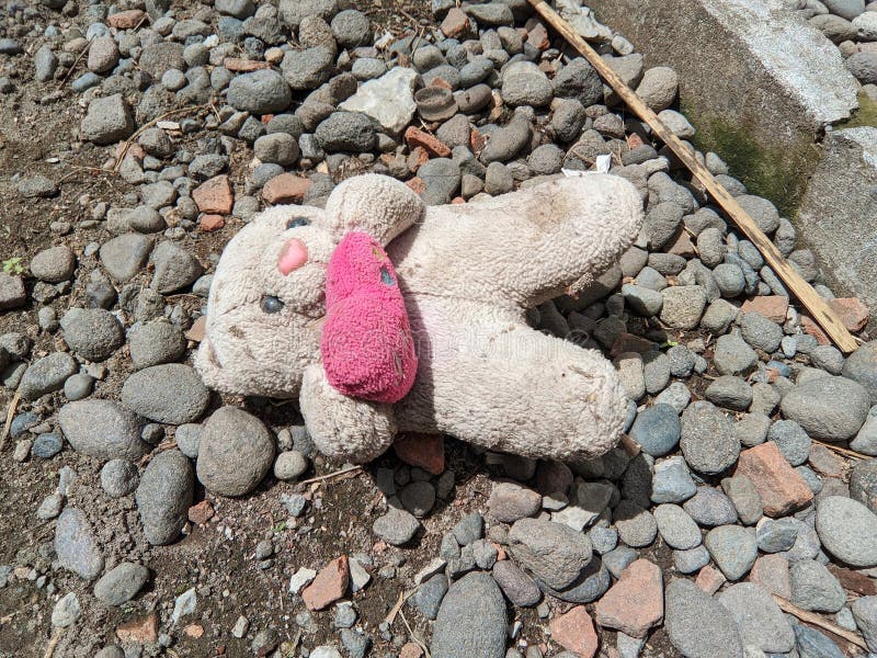 A Small Pink Stuffed Panda Lay on the Ground among Small Rocks Stock ...