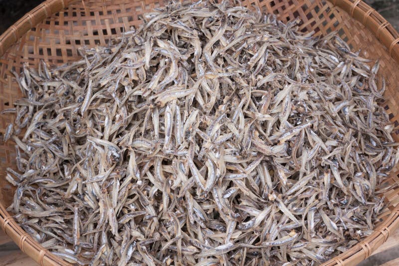 Small pisces stock image. Image of material, closed, pisces - 10855289