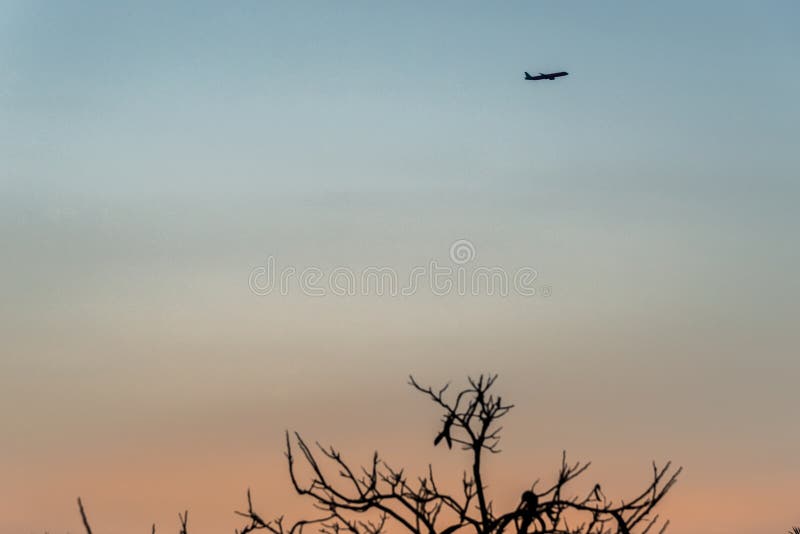 Small Plane on a Background of Sunset Red Sky. Horizontal Frame Stock ...
