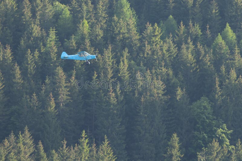 A Small Plane Flies Over the Coniferous Forest Stock Photo - Image of ...