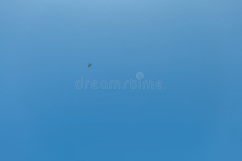 Small Plane Flying Across Blue Sky, Seen from Below. Adventure and ...