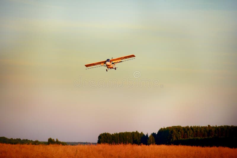 A Small Plane Flying in the Sky Over the Fields and Forests. Processing ...