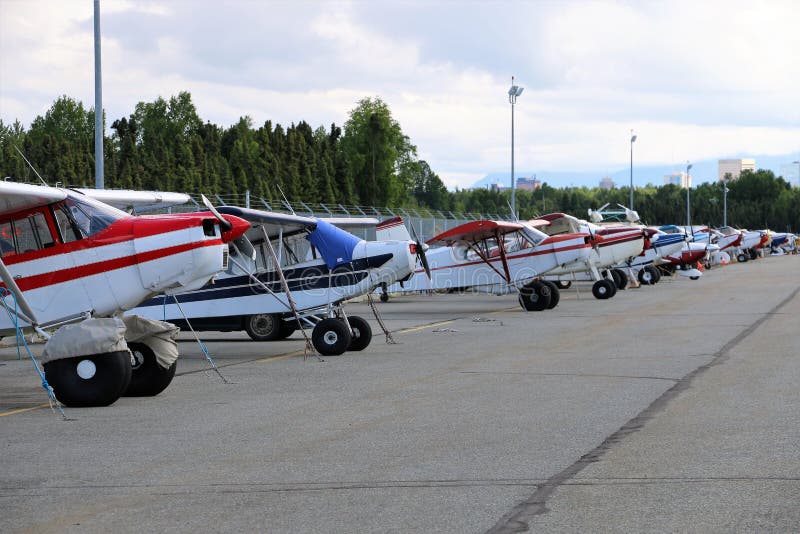 Small Planes Parked in a Row Stock Photo - Image of private, parked ...