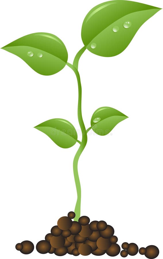 Young plant illustration stock illustration. Illustration of ...