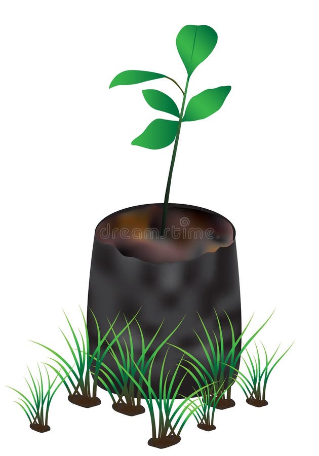 The small plant stock vector. Illustration of agriculture - 52741053