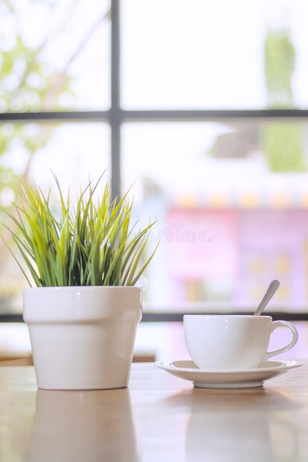 A Small Plant Near Window with Coffee Cup Stock Image - Image of window ...