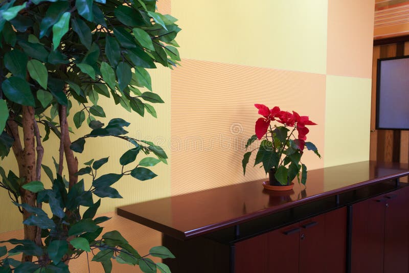 Office #9 stock photo. Image of office, fittings, light - 1137376