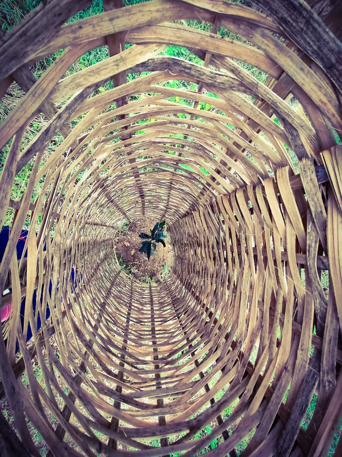 A Small Plant Protected by a Round Circular Structure Stock Photo ...