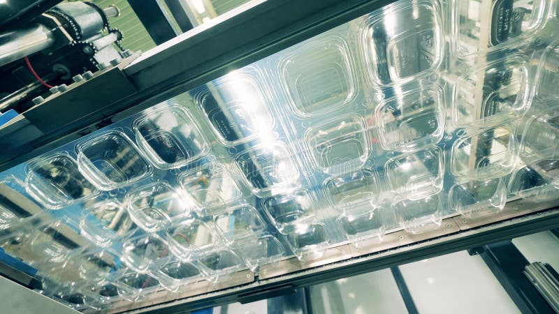 Small Plastic Containers Moving Along the Production Line. Bottom View ...