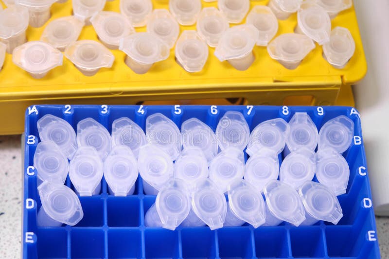 Small Plastic Test Tubes in a Rack. Microbiology of Chemical Analysis ...