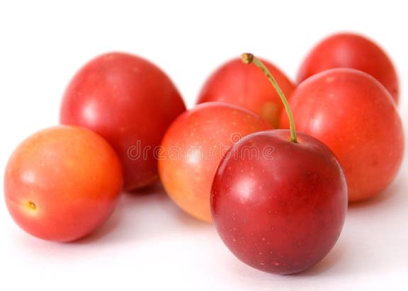 Small plum stock image. Image of isolated, vitamins, plant - 10646553