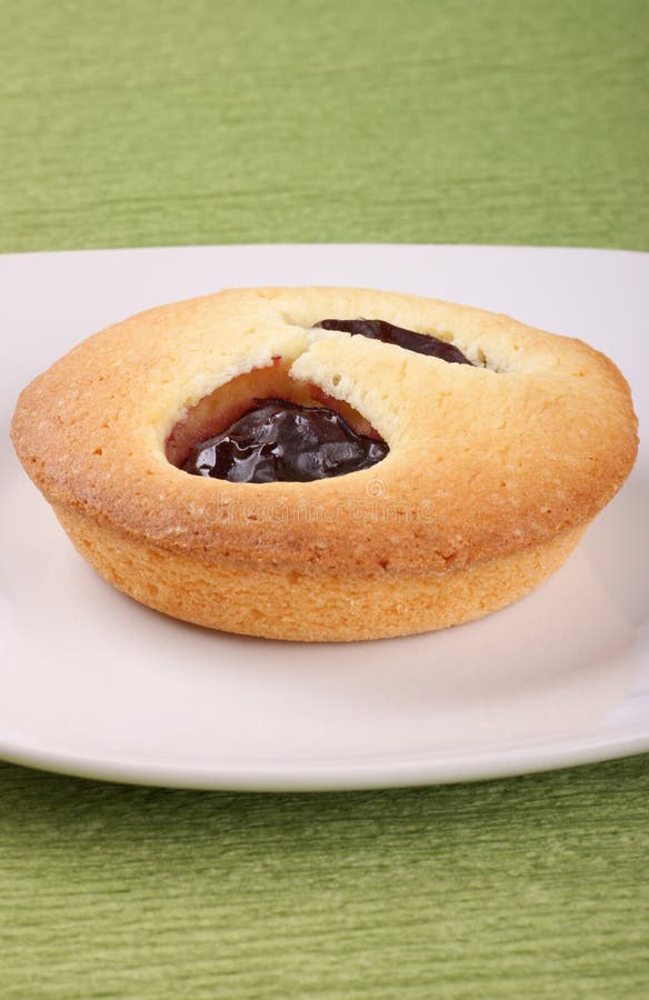Small plum cake stock photo. Image of focus, dessert - 27804078