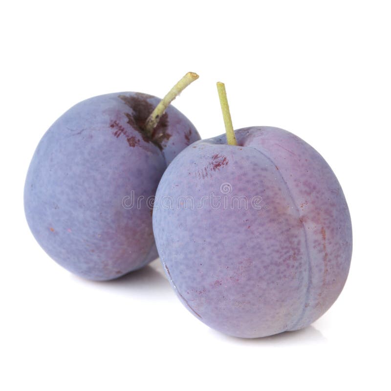 Plums stock photo. Image of fruit, objects, sweet, white - 26285184