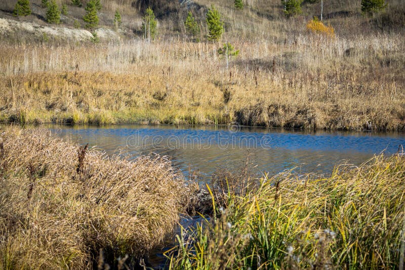 Small Pond on the Autumn Field Stock Photo - Image of pond, rural ...