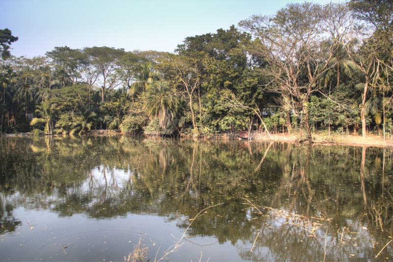Small Pond in Bagerhat, Bangladesh Stock Image - Image of people ...