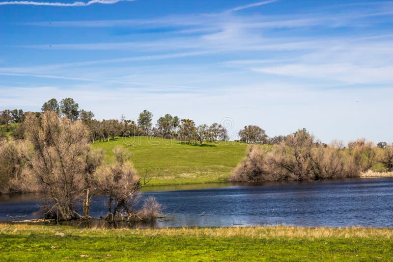 Small Pond in California Foothills Stock Photo - Image of nature ...