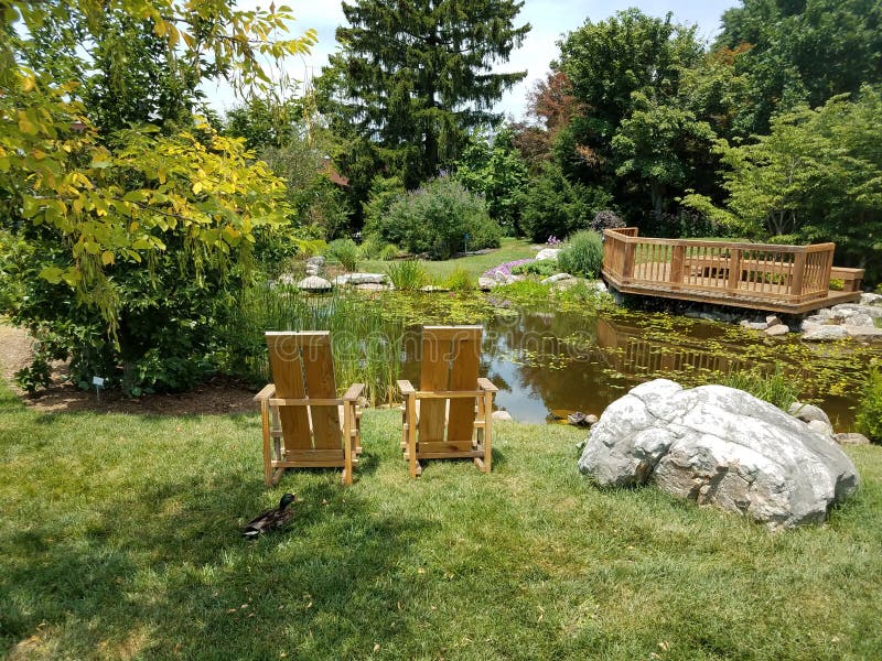 Small Pond with Chairs,boulder, Wood Observation Platform and Ducks ...