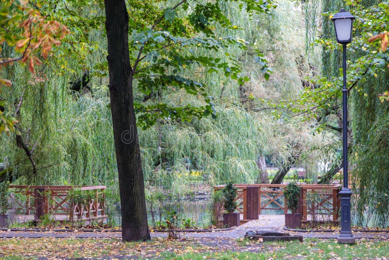 A Small Pond in a City Park in Summer. Stock Image - Image of leisure ...