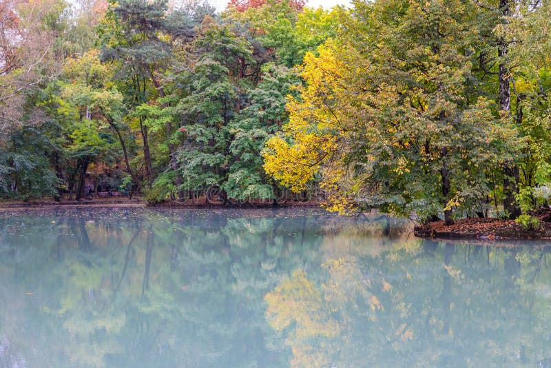 A Small Pond in a City Park in Summer. Stock Photo - Image of peaceful ...