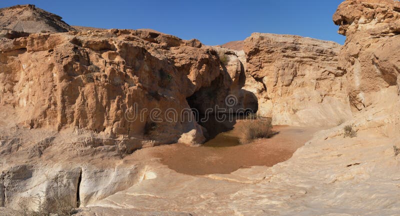 A Small Pond with a Fountain in the Middle Located Near the Forest ...