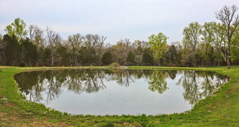 A Pond with Reflections of the Surrounding Trees. Stock Image - Image ...