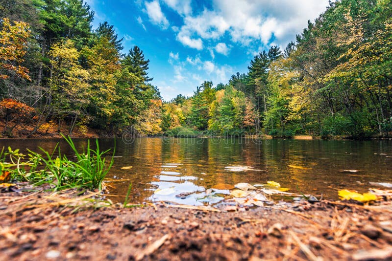 Small Pond in the Forest in Fall Stock Image - Image of middle, forest ...