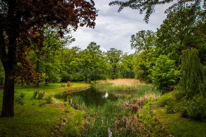 Small Pond in a Forest in Spring Stock Image - Image of scenery, blue ...
