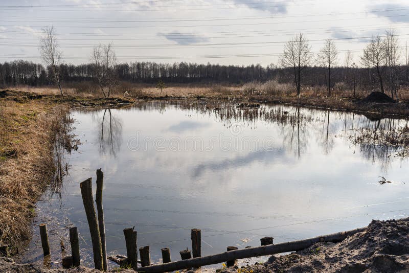 A Small Pond in the Forest with a Visible Reflection of the Sky on the ...