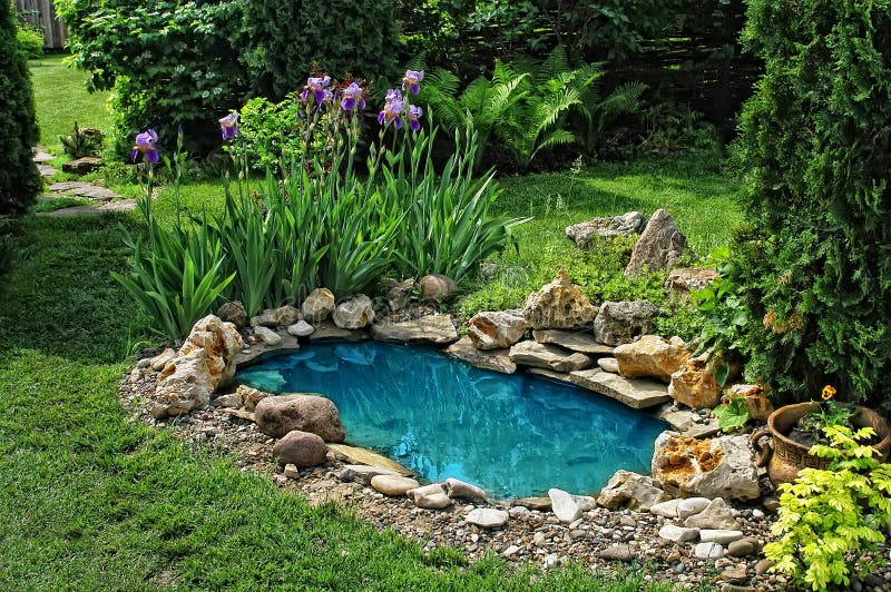 Small pond in the garden stock image. Image of landscape - 15222425