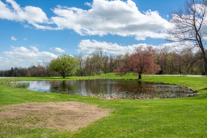 Small Pond in the High Point State Park in New Jersey, Stock Image ...