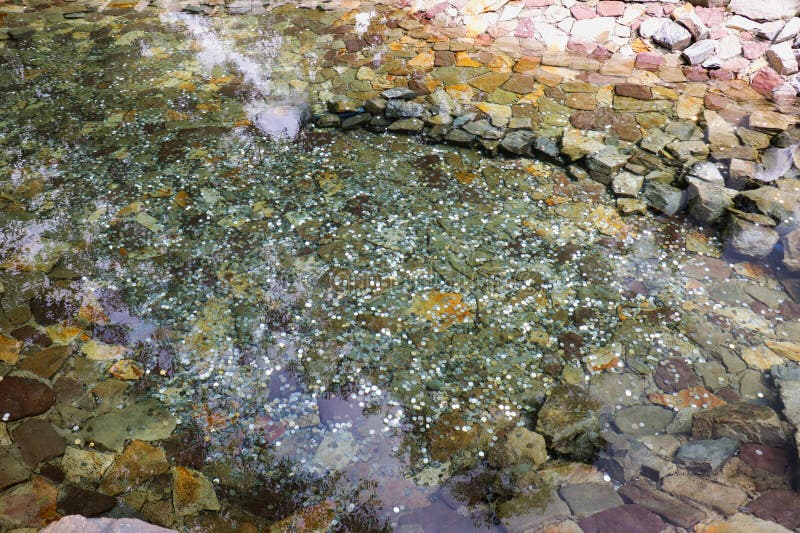 A Small Pond Lined with Stones with Small Items Scattered on it Stock ...
