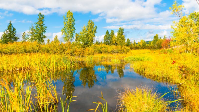 Small Pond in a Meadow in Fall with a Blue Cloudy Sky in the Background ...