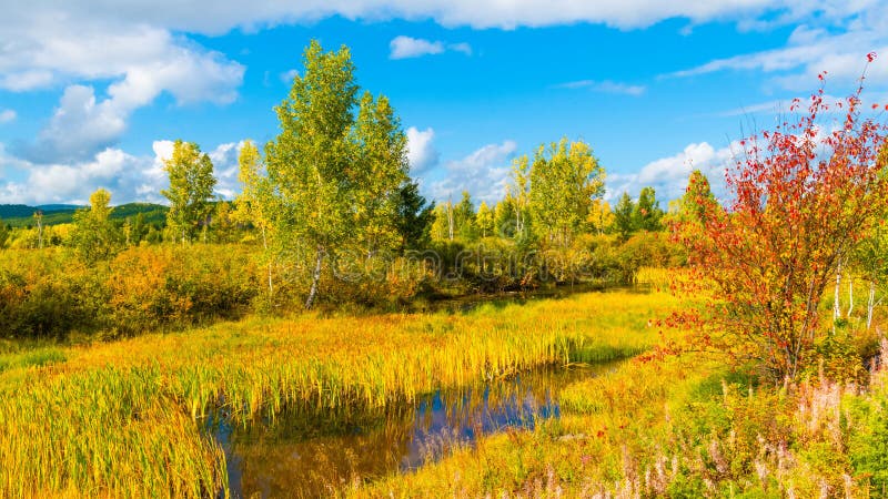 Small Pond in a Meadow in Fall with a Blue Cloudy Sky in the Background ...