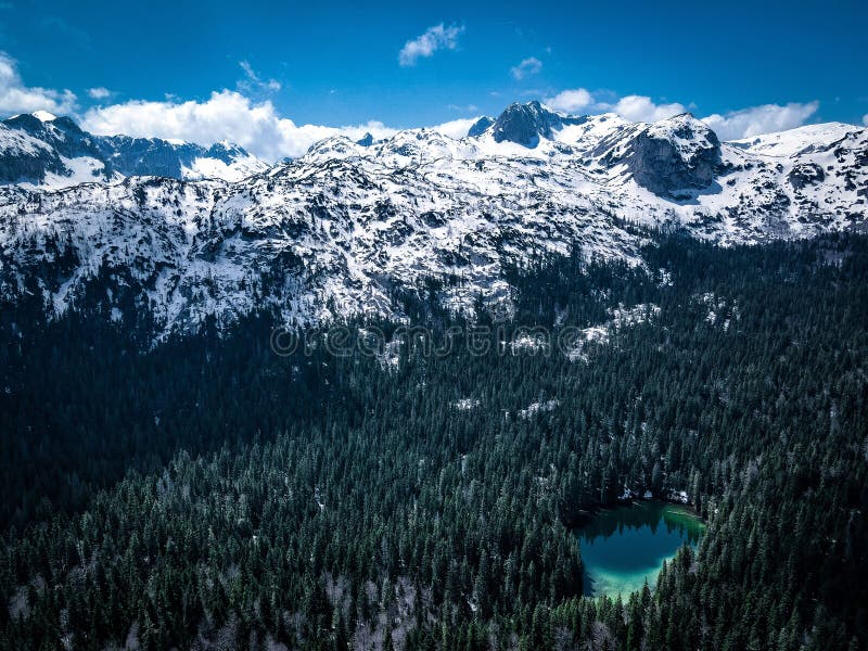 Small Pond in the Middle of a Fir Tree Forest with Snowy Mountains in ...