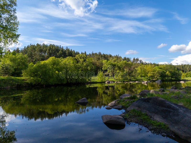 A Small Pond in the Middle of a Grassy Field Surrounded by Trees Stock ...